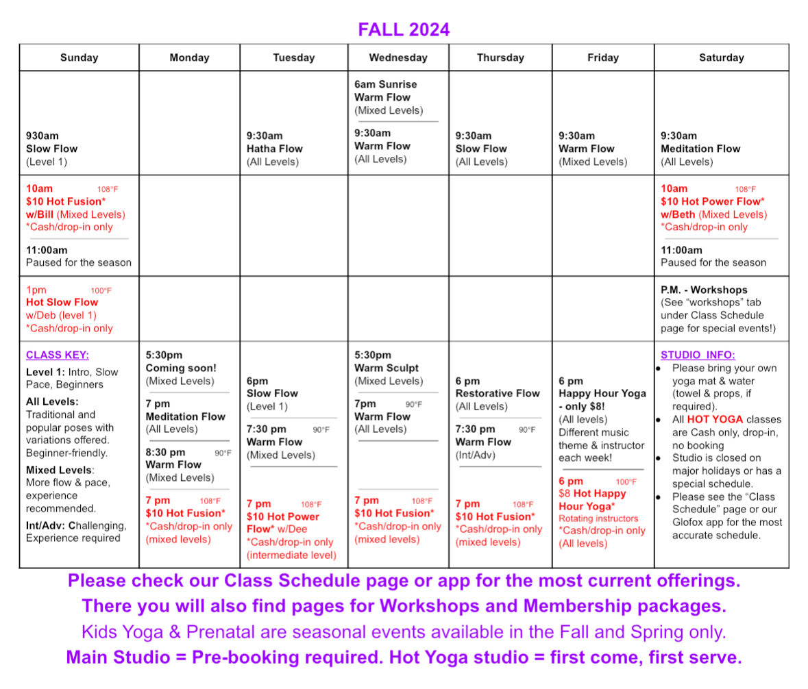 Studio Policies – The Twisted Monkey